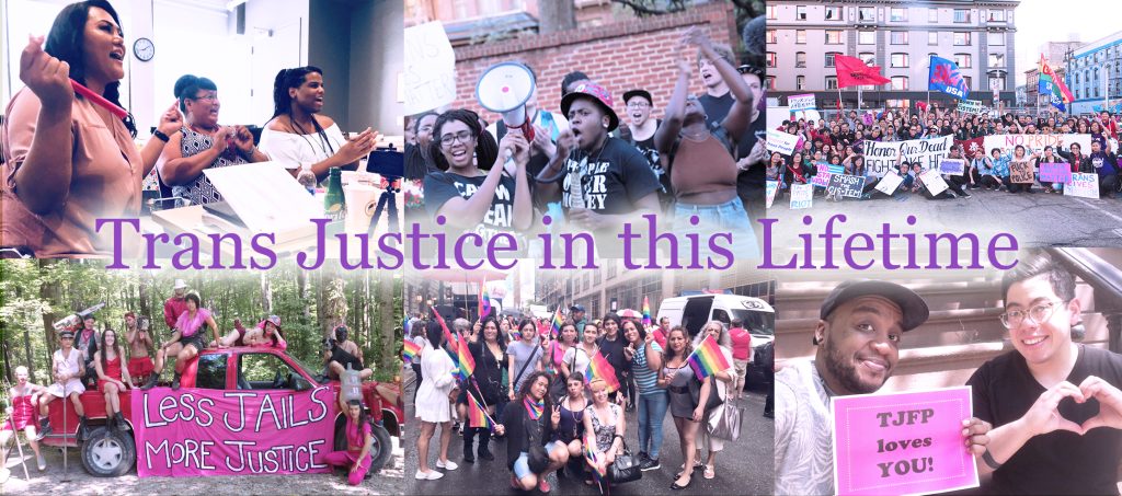 Trans justice in this lifetime! 50k by 5/15! - Trans Justice Funding ...